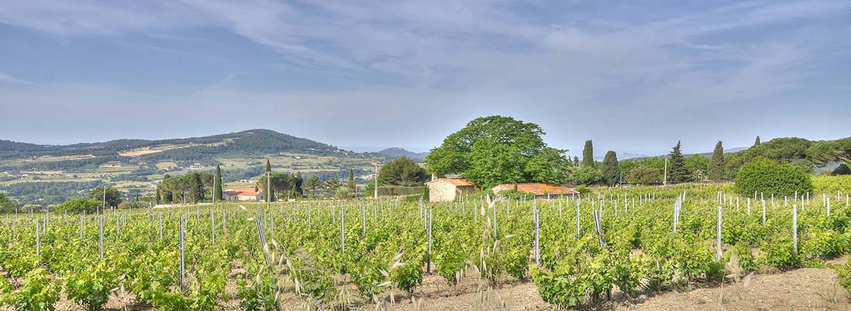 Le 360 du Beausset tour d'horizon de la ville des commerçants et artisans